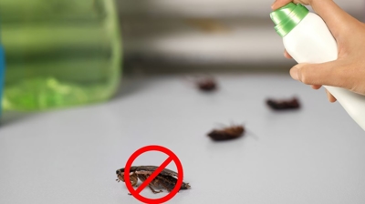 Contact Us | HomeShield Pest Control