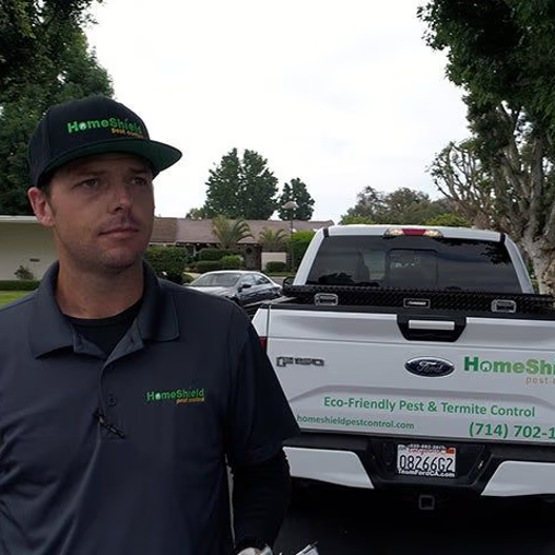Ant Control Sacramento, CA | HomeShield Pest Control