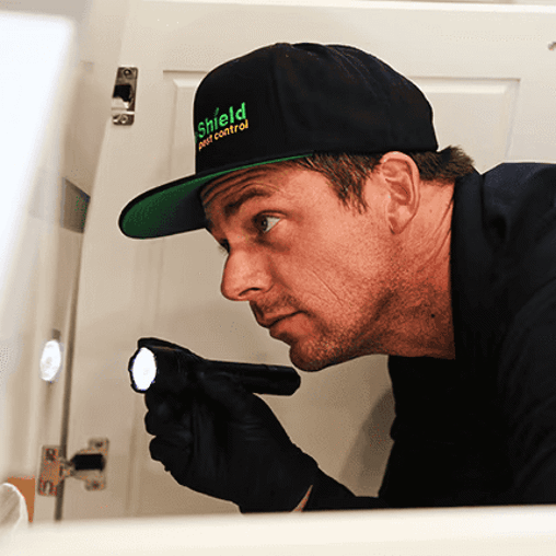 Rodent Control Sacramento, CA |HomeShield Pest Control
